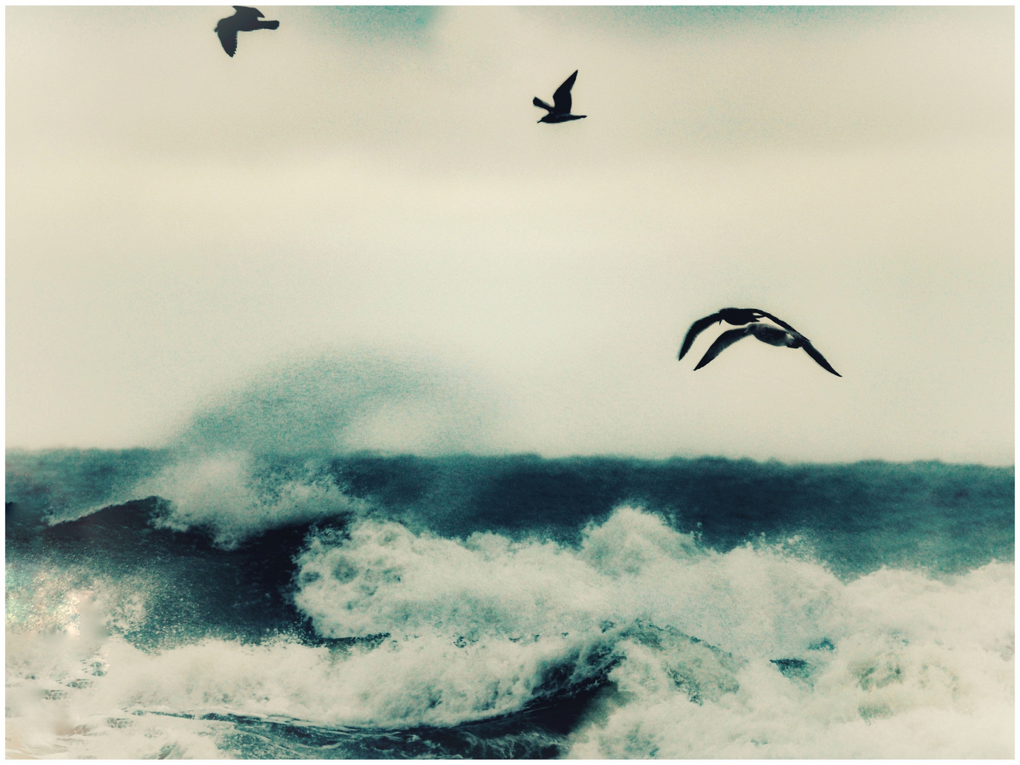 RAUE.SEE Foto & Bild | landschaft, meer & strand, fotokunst Bilder auf ...