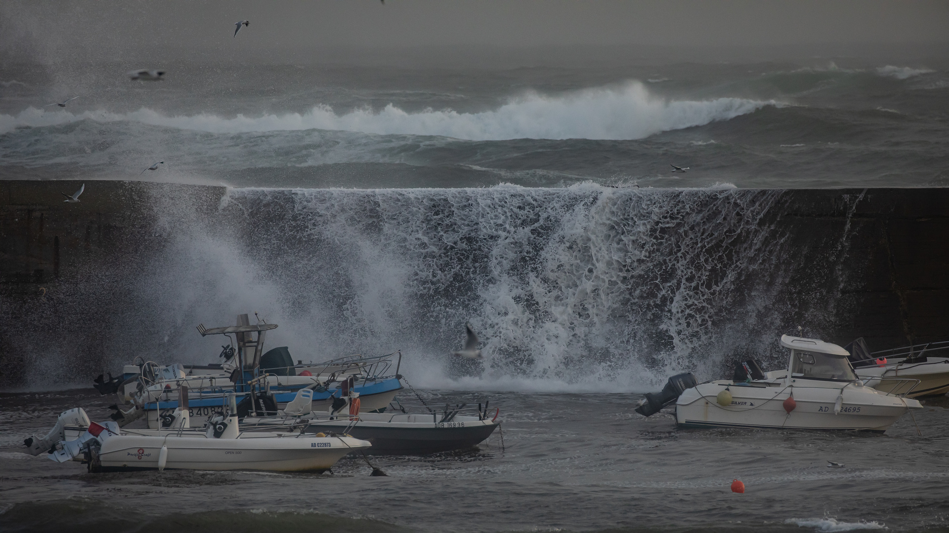 Rauhe See am Hafen Foto & Bild | france, world, spezial Bilder auf ...