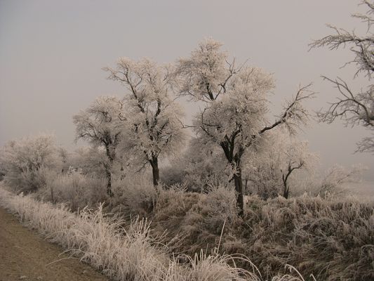 Liebisch - Fotos & Bilder - Fotograf aus Berlin | fotocommunity