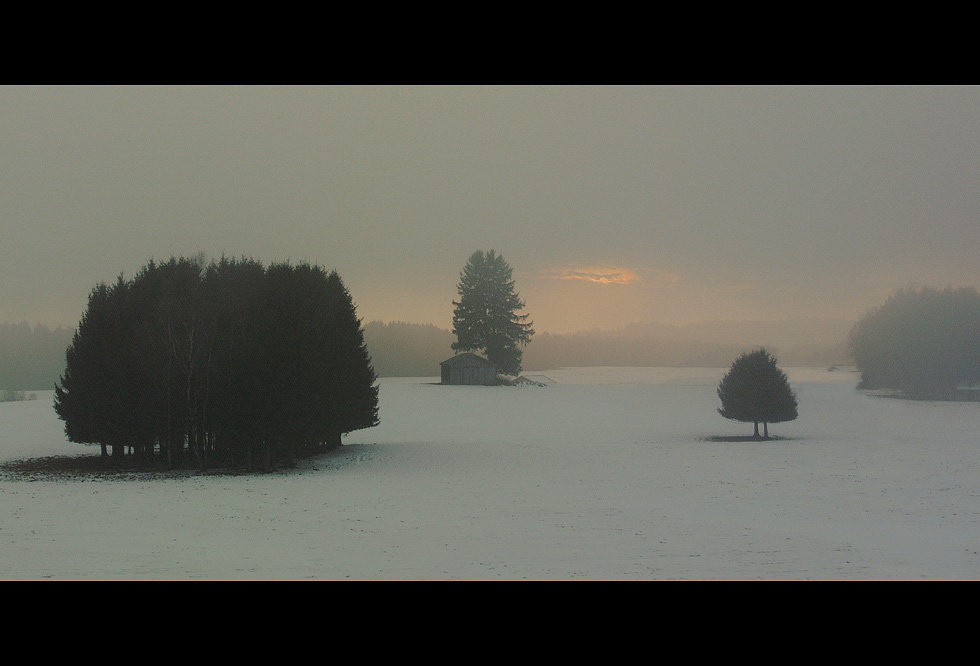 raus hier... Foto & Bild | jahreszeiten, winter, natur Bilder auf ...