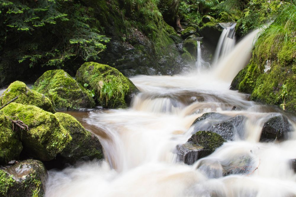 Ravennaschlucht Foto & Bild | wasser, natur, langzeitbelichtung Bilder ...