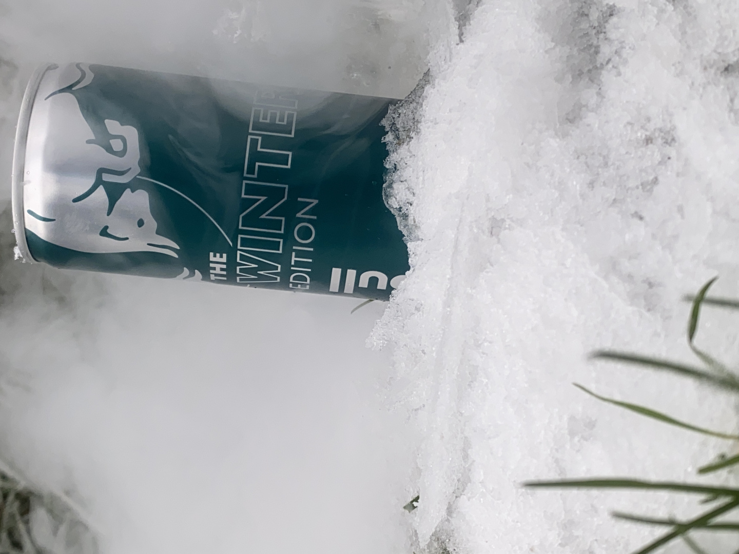 Red Bull Winter Edition Foto & Bild | world, winter, red bull Bilder ...