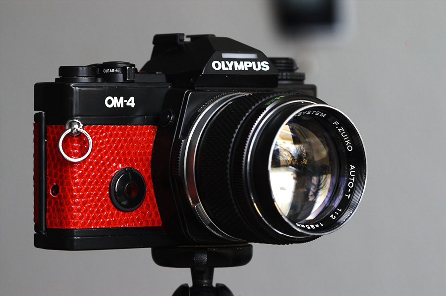 Red Lizard Skin Foto & Bild | industrie und technik, historische ...