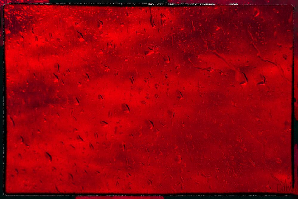 RED RAIN Foto & Bild | rot, regen, natur Bilder auf fotocommunity