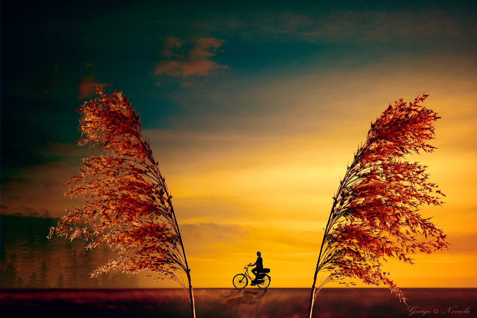 Reed on road Foto & Bild | fotomontage, landschaften, sunset Bilder auf fotocommunity