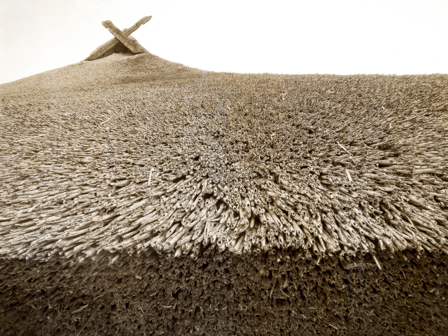 Reet Foto & Bild | alt, dach, haus Bilder auf fotocommunity