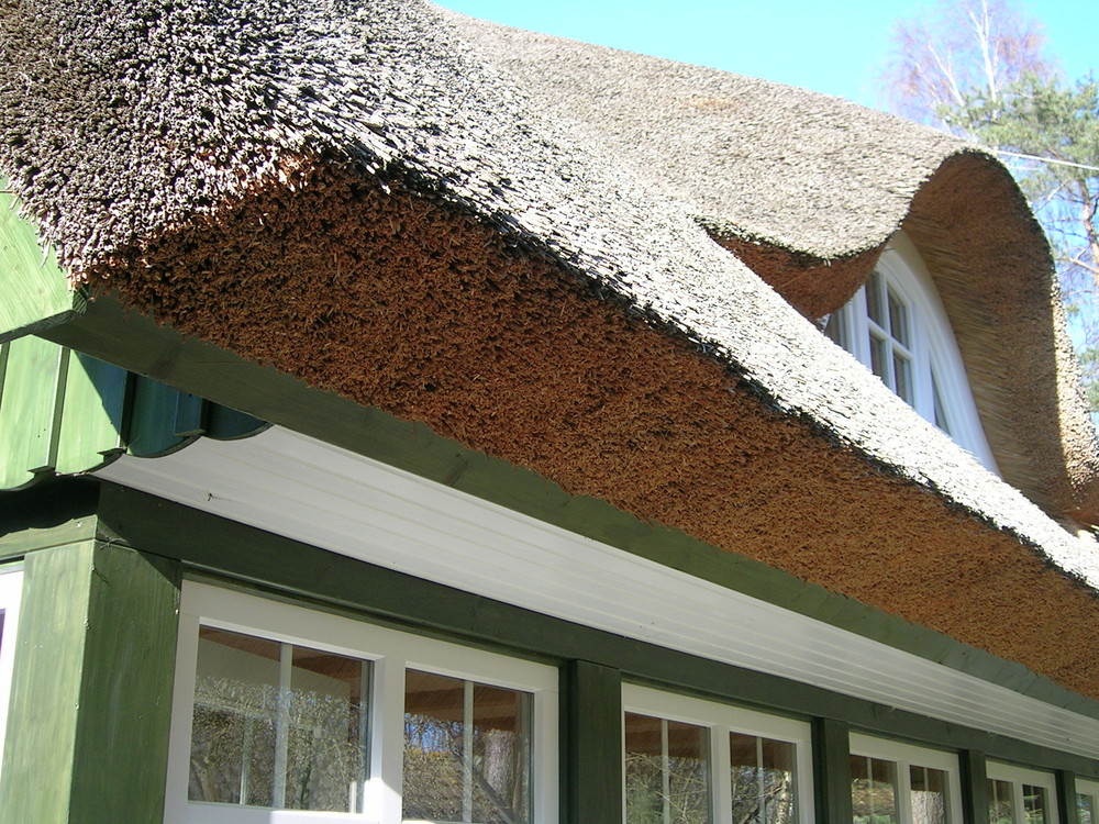 ReetDach Foto & Bild | deutschland, europe, mecklenburg- vorpommern ...