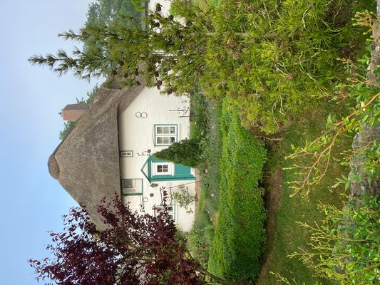 Amrum Bilder & Fotos