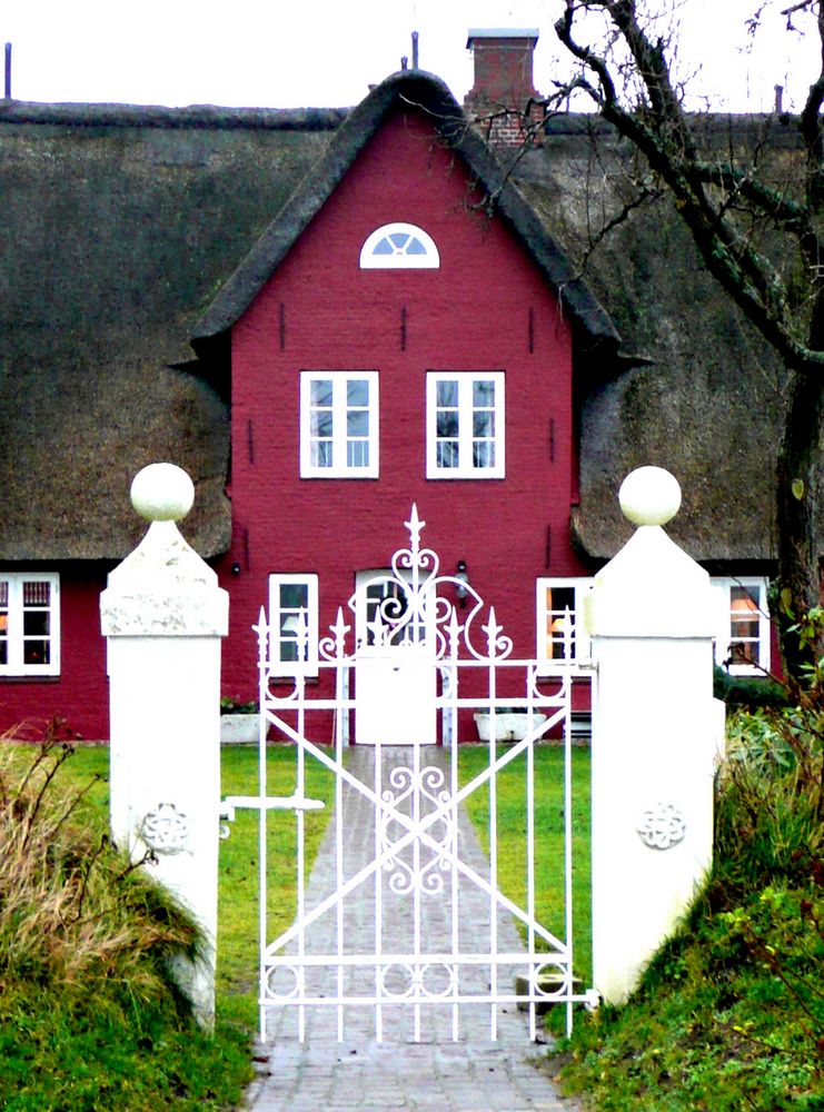 Reetdachhaus in Nebel auf Amrum Foto & Bild | architektur, deutschland ...