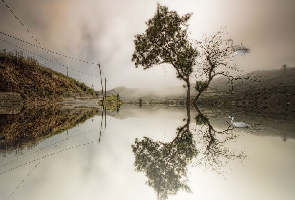 reflection Foto & Bild | fotomontage, spiegelungen, bearbeitungs ...