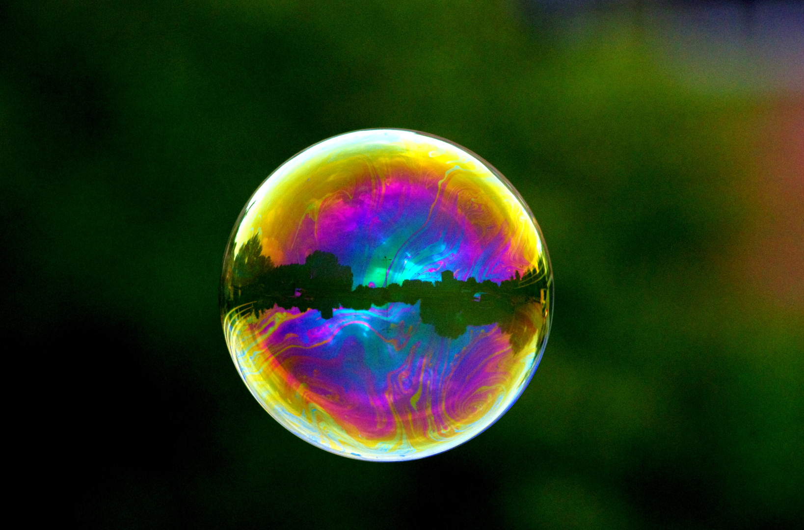 Reflections on a bubble! photo & image | landscape, gardens & parks ...