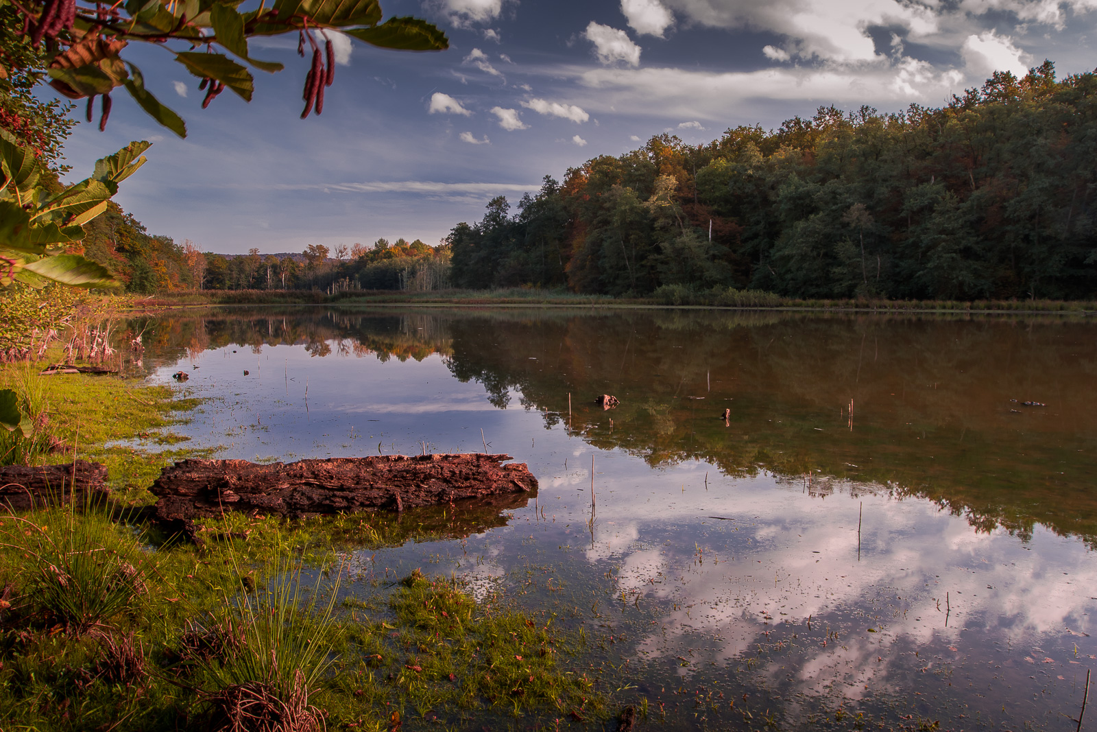 Reflets photo et image | Étangs, cascades, nature Images fotocommunity
