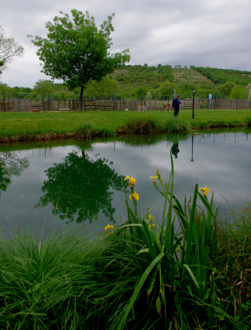 Reflets ....3 photo et image | nature, campagne, paysage Images ...