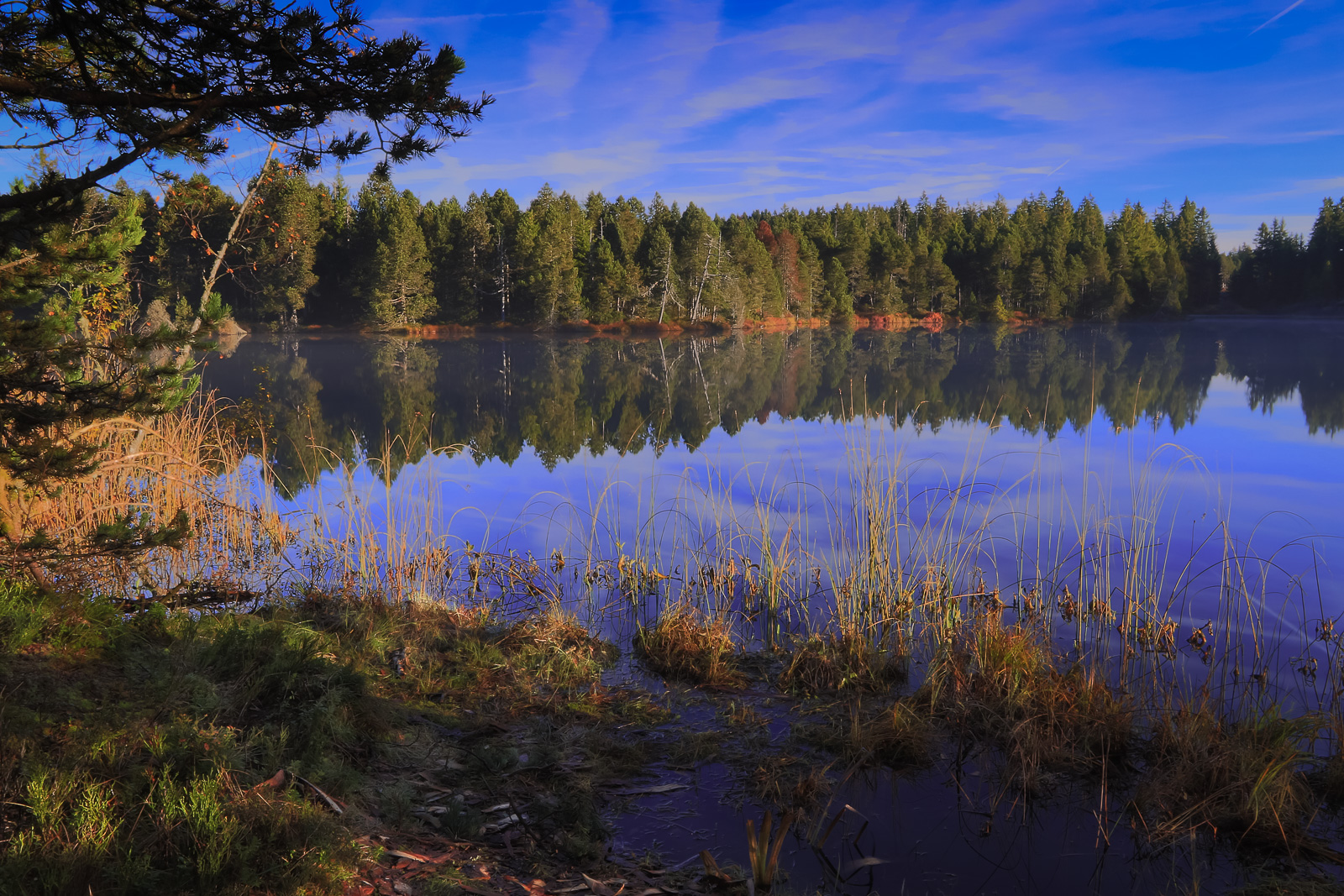 Reflets, photo et image | Étangs, cascades, nature, animaux Images ...