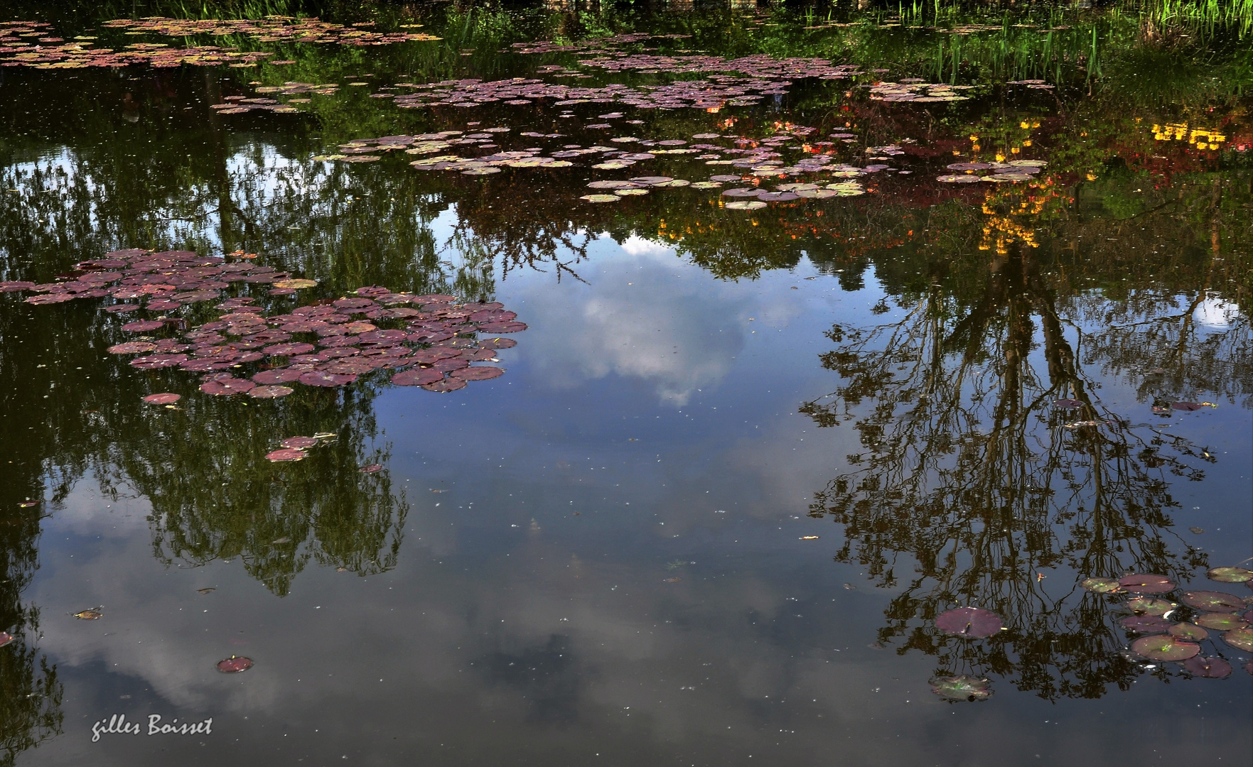 reflets chez Monet photo et image | europe, france, normandie Images ...