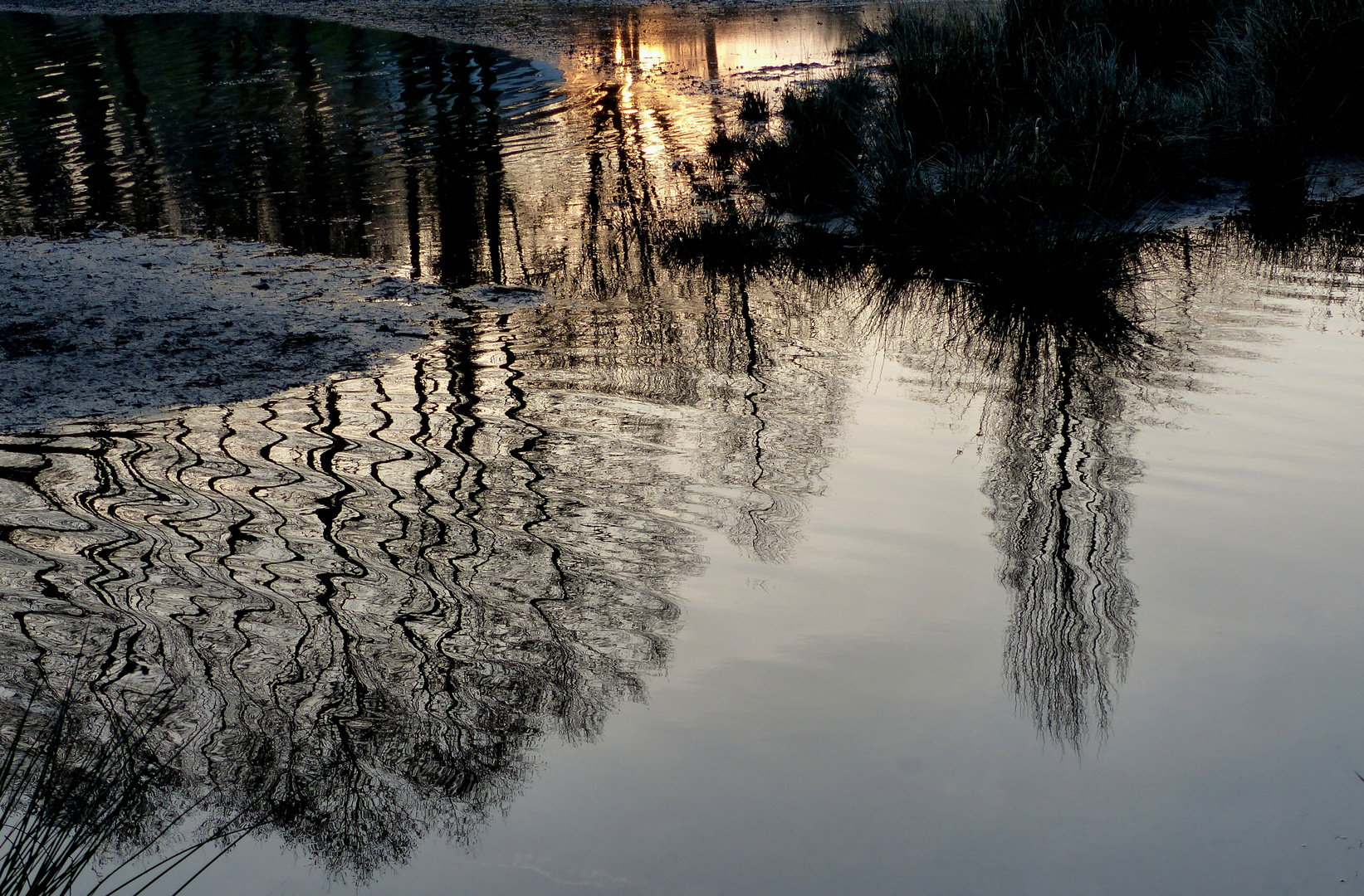 Reflets frémissants au coucher. photo et image | paysages, lacs ...