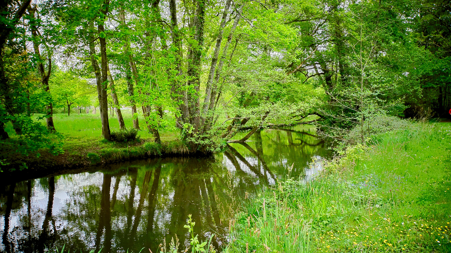 Reflets sur le ruisseau..... photo et image | paysages, paysages de ...