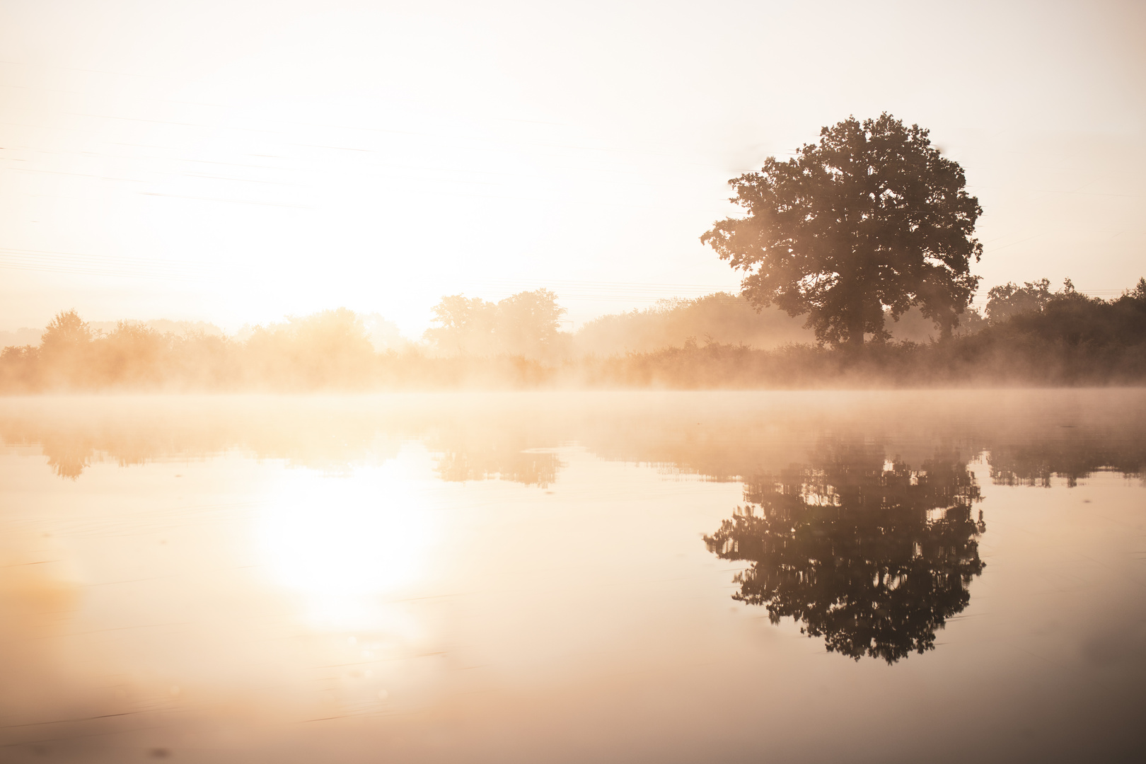 Reflexion Foto & Bild | sommer, outdoor, baum Bilder auf fotocommunity
