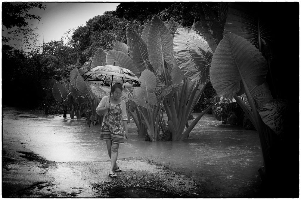 Regen Foto & Bild | streetfotografie mit menschen, street: spontane portraits, regenfotos Bilder ...