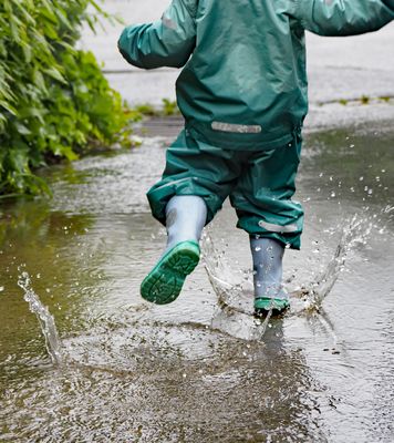 Regenfotos Bilder & Fotos