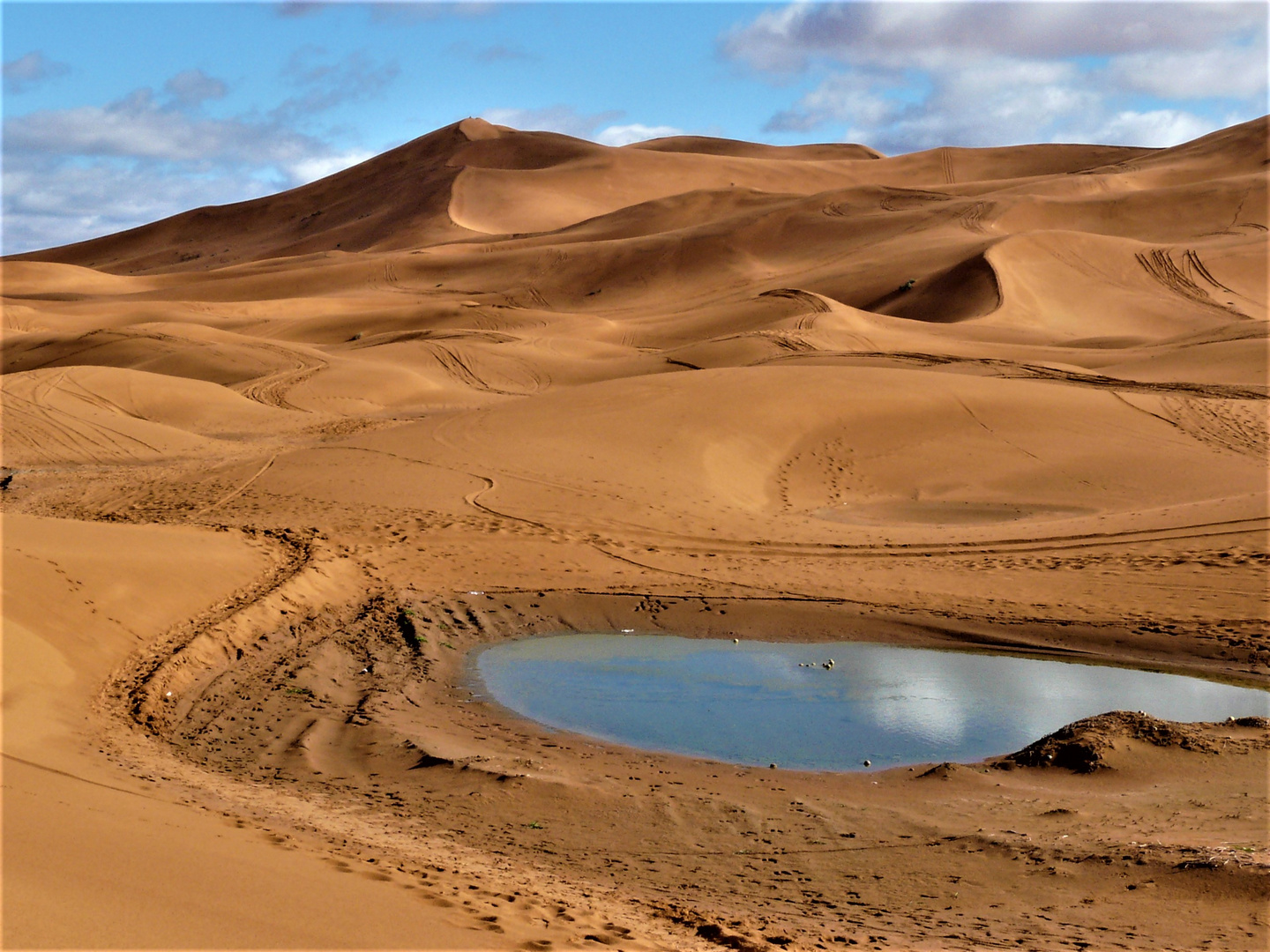Regen in der Wüste Marokkos Foto & Bild | natur, landschaft, sahara ...