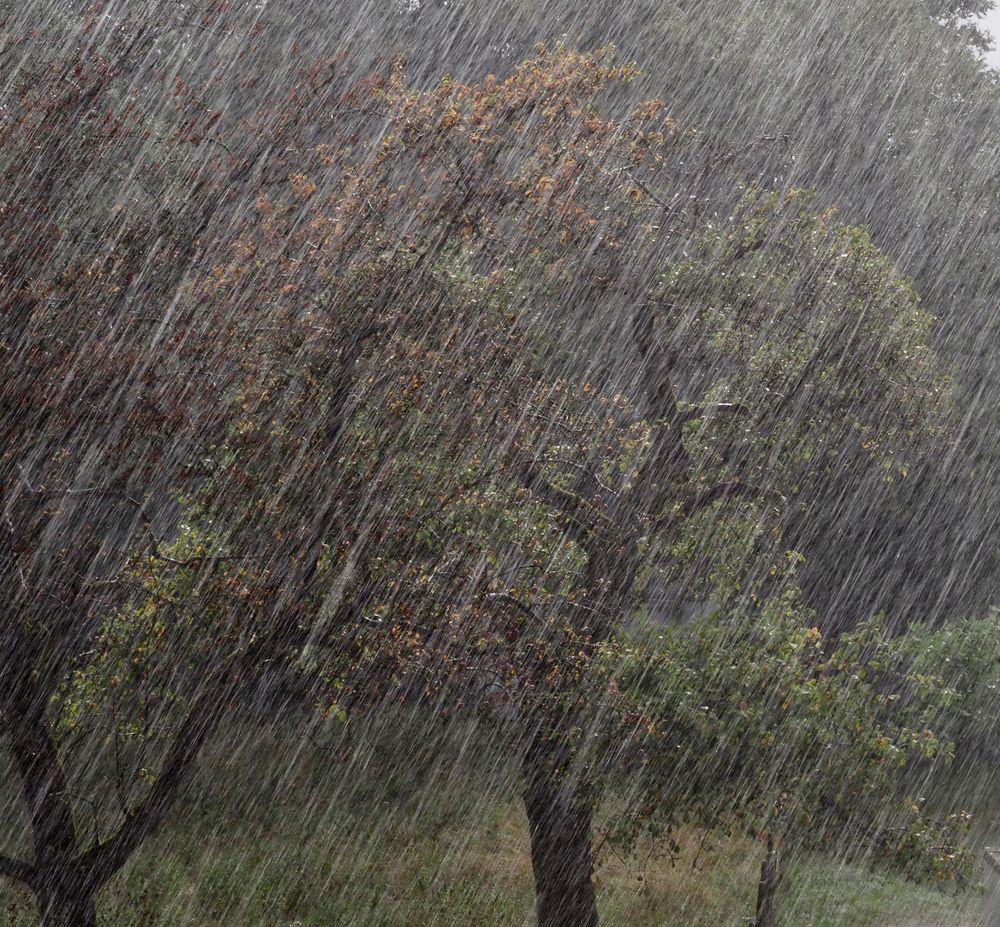 Regen und Sonne Foto & Bild | regenfotos, wetter, sommer Bilder auf ...