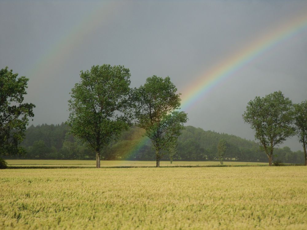Regenbogen Foto & Bild | regenbögen, wetter, regenbogen Bilder auf fotocommunity
