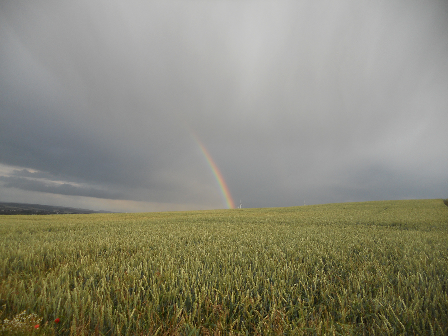 Regenbogen Foto & Bild | landschaft, bilder, natur Bilder auf fotocommunity