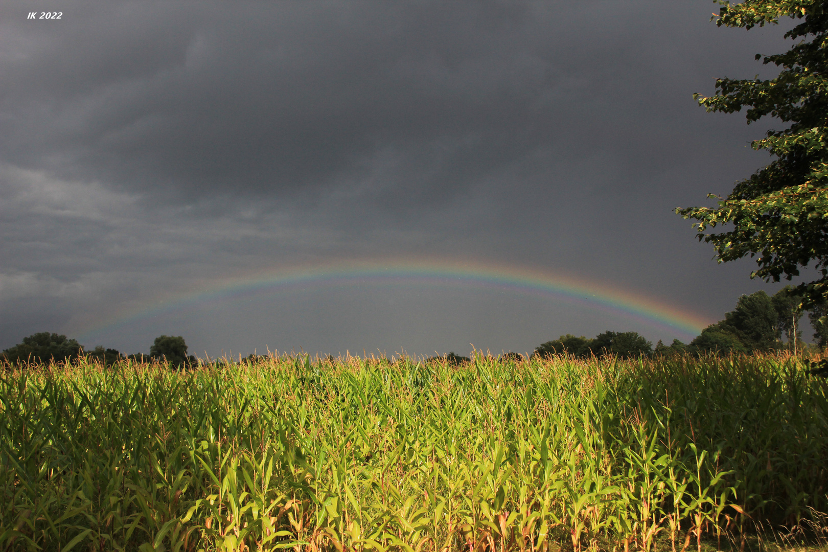 Regenbogen..... Foto & Bild | regenbögen, wetter, natur Bilder auf fotocommunity