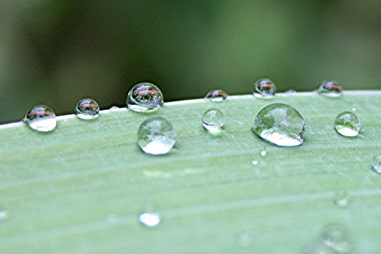 Regentropfen Foto & Bild | regenfotos, wetter, regen Bilder auf ...