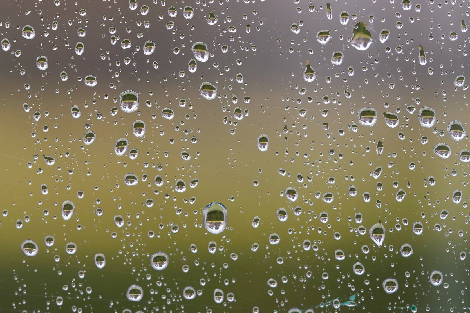 Regentropfen Foto & Bild | regenfotos, wetter, wasser Bilder auf ...