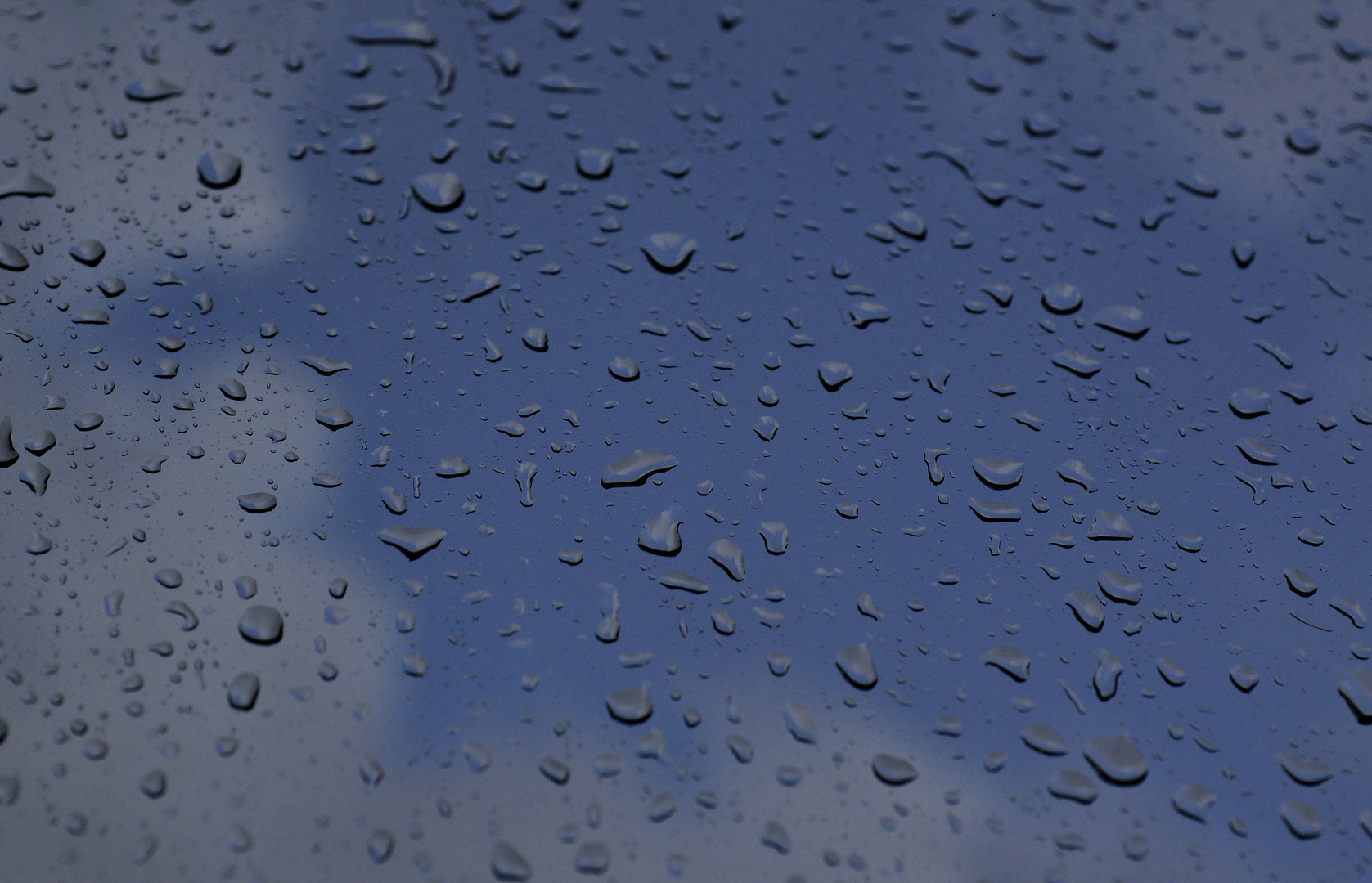 Regentropfen..........--- Foto & Bild | regenfotos, wetter, regen ... Regentropfen..........--- Foto & Bild | regenfotos, wetter, regen ...