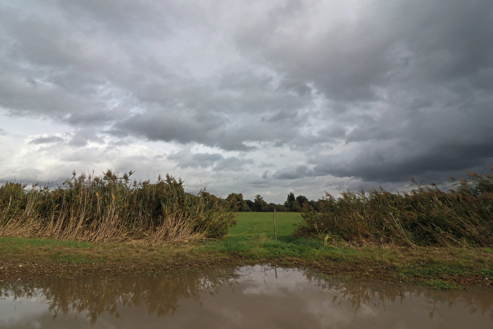 Regenwasser Foto & Bild | landschaften, wasser, bäume Bilder auf ...