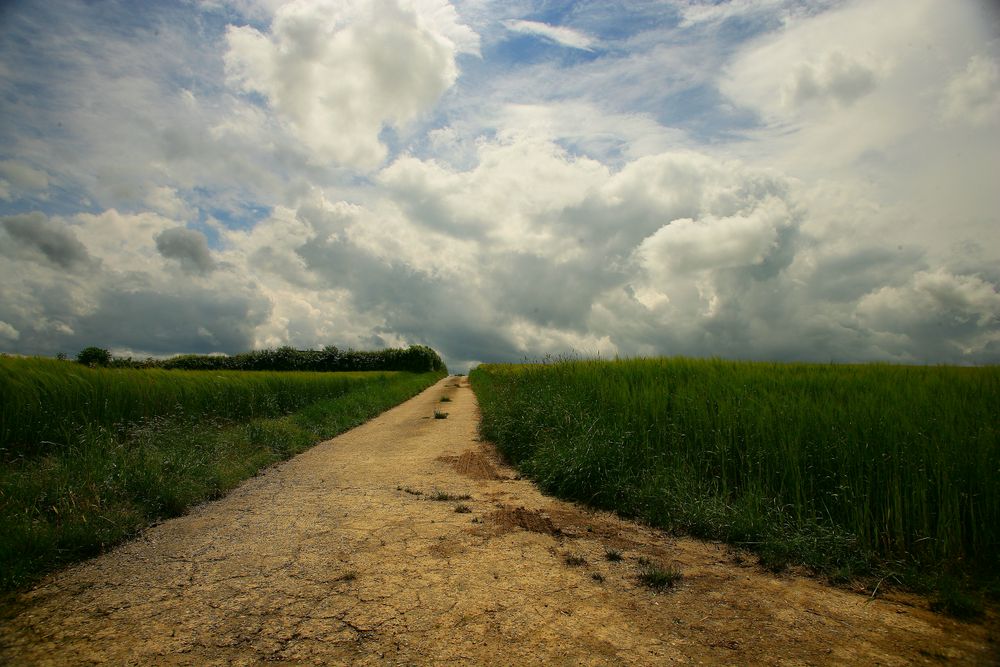 regenwetter im juni Foto & Bild | wolken, regen, felder Bilder auf ...
