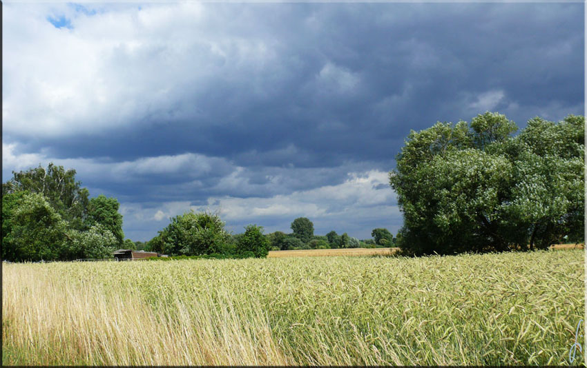 Regenwolken Foto & Bild | himmel, wolken, himmel & universum Bilder auf ...