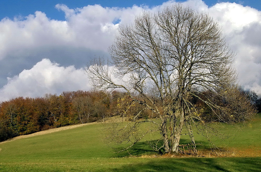 Regenwolken Foto & Bild | deutschland, europe, baden- württemberg ...