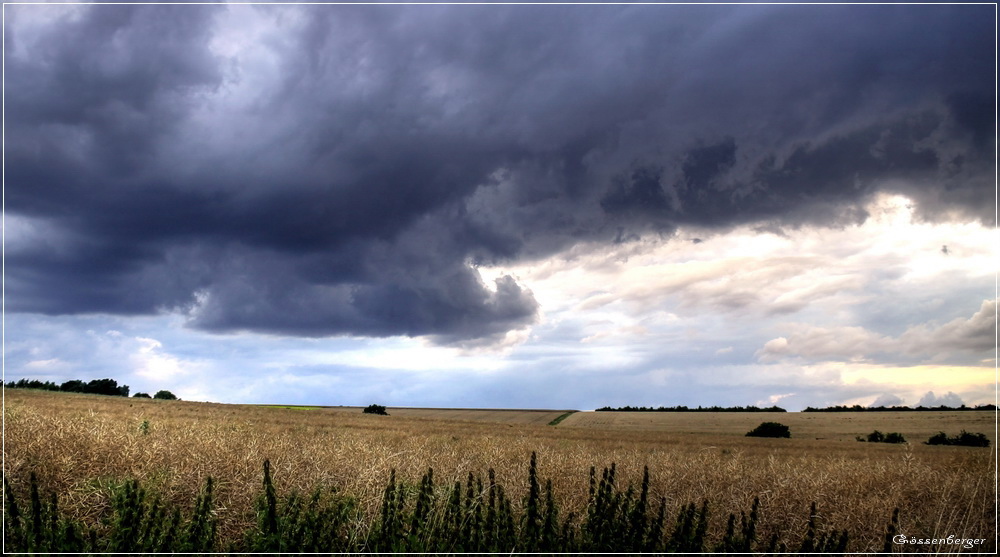 Regenwolken übern Rapsacker Foto & Bild | landschaft, Äcker, felder ...