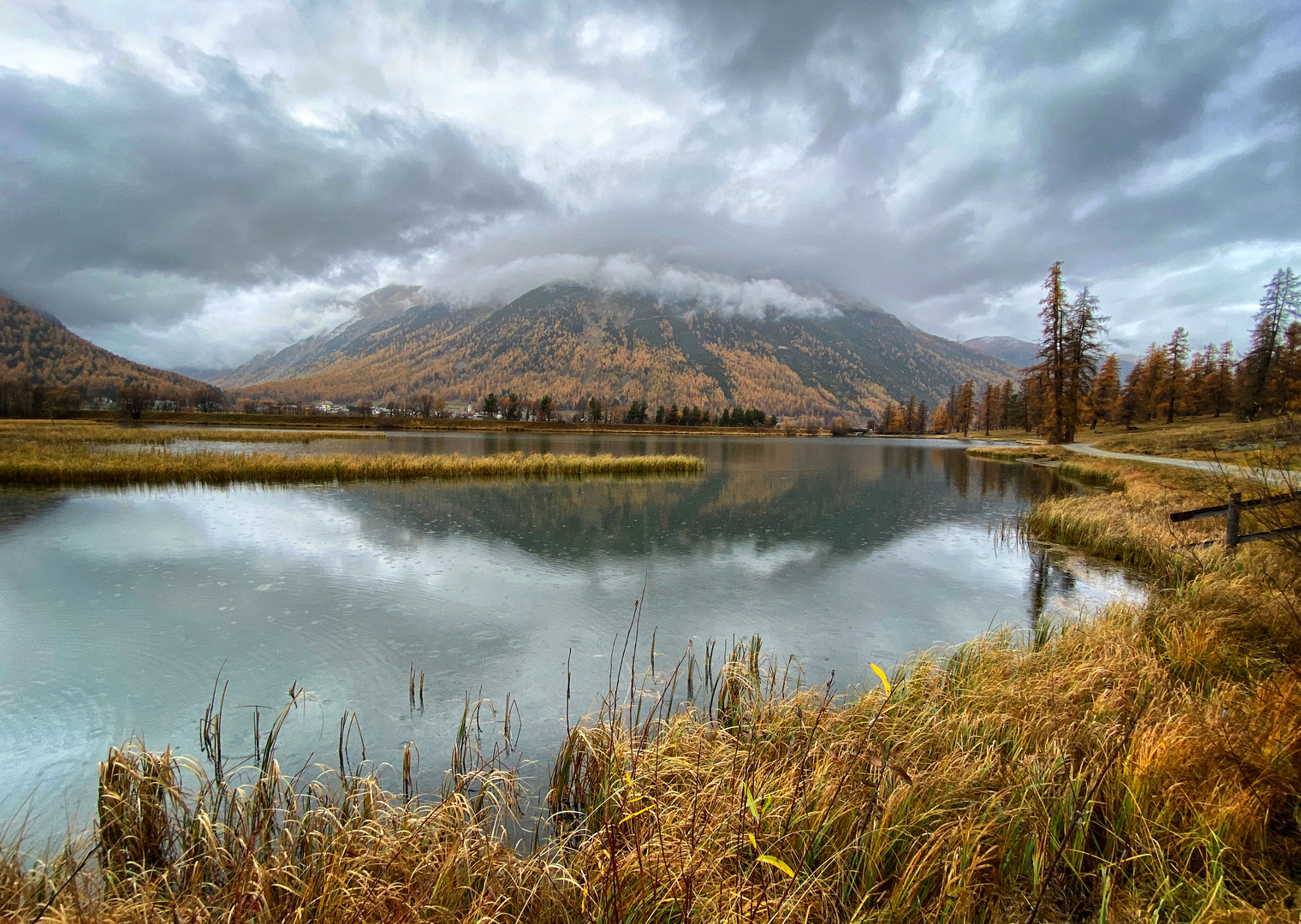 Regnerisch Foto & Bild | natur, herbst, landschaft Bilder auf fotocommunity