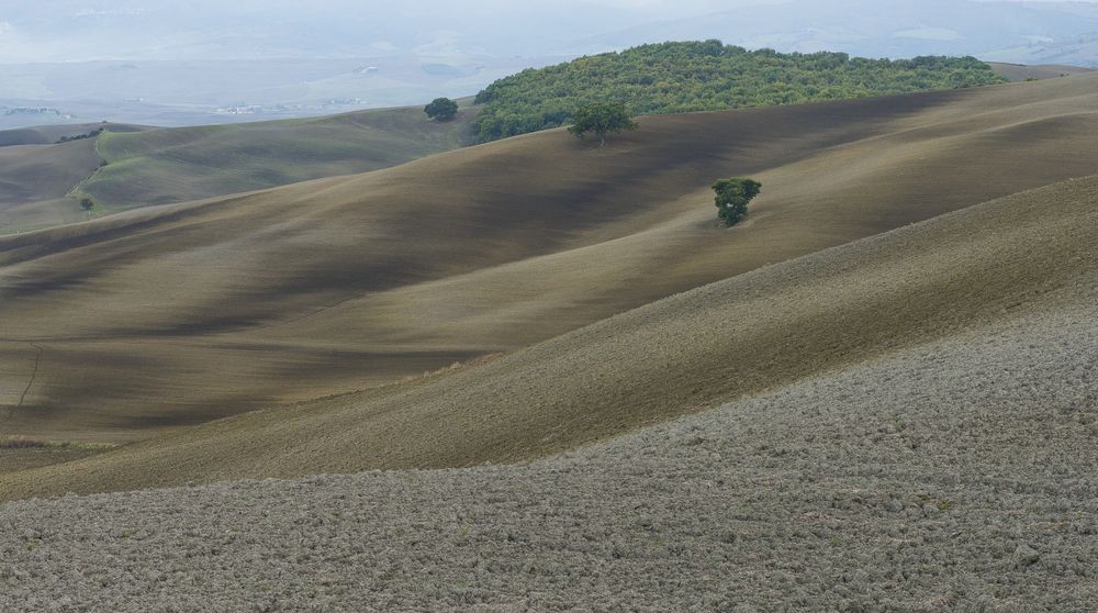 regnerisch Foto & Bild | italy, world, bäume Bilder auf fotocommunity
