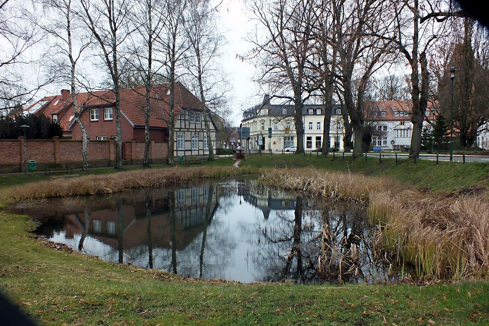 Rehna Foto & Bild | spezial, natur, landschaft Bilder auf fotocommunity