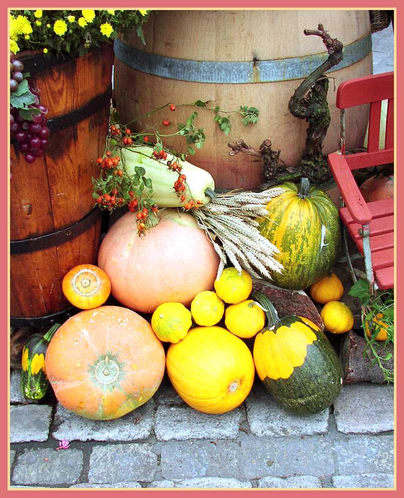 Reiche Ernte Foto & Bild | jahreszeiten, herbst, natur Bilder auf ...