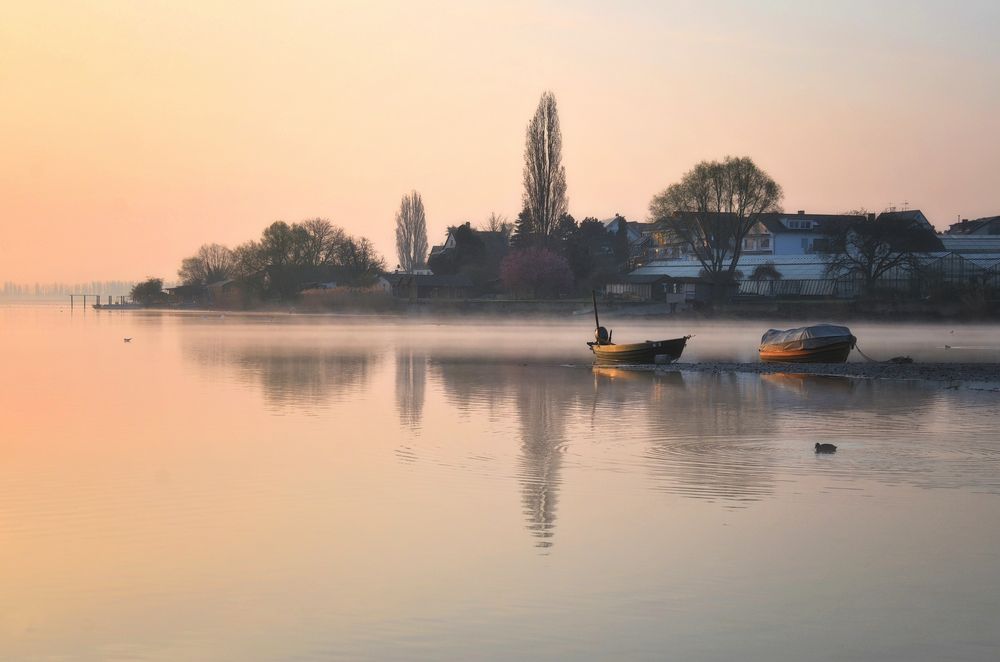 Bodensee | Edith Vogel Fotografie