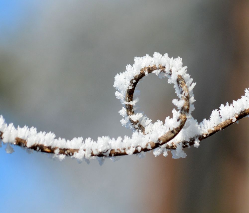 reif Foto & Bild | jahreszeiten, winter, natur Bilder auf fotocommunity