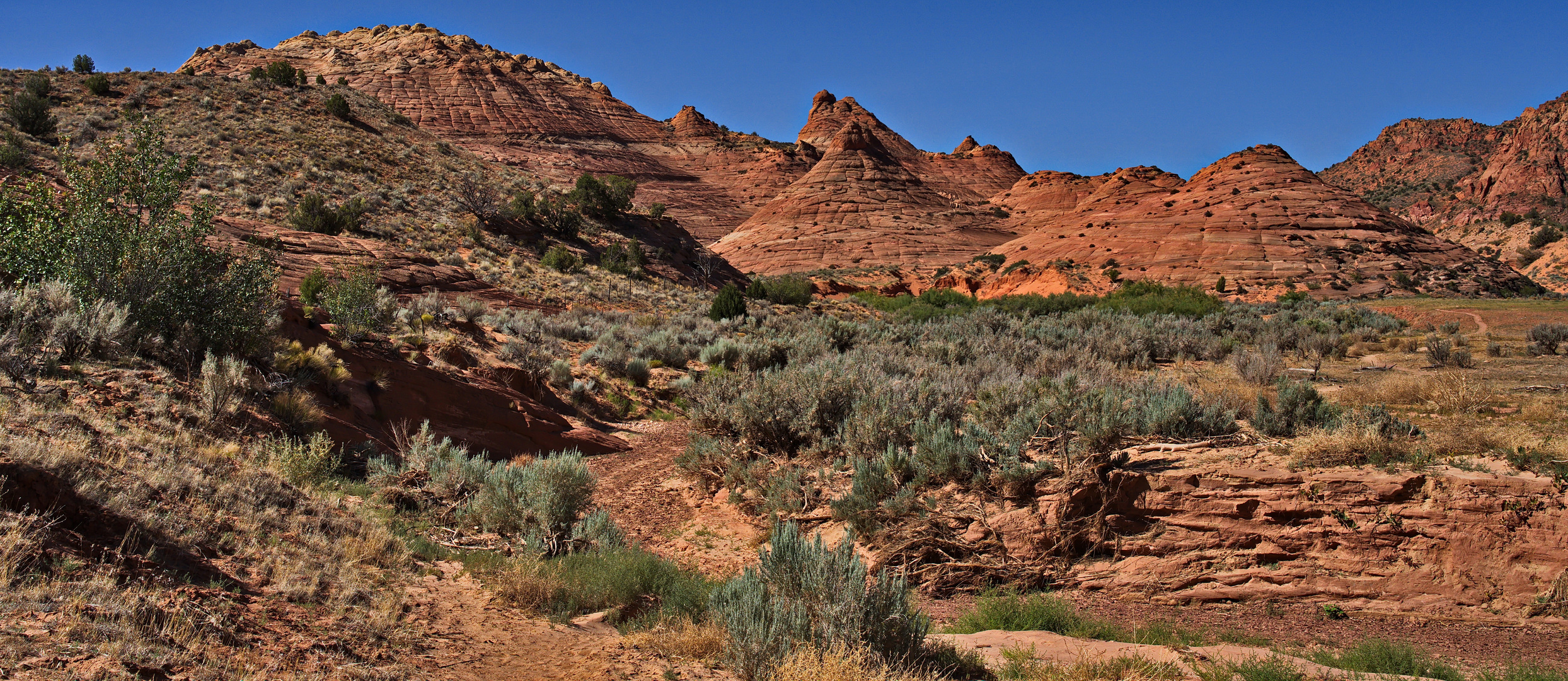 rein - raus Foto & Bild | Bilder auf fotocommunity