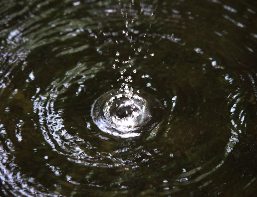 rein und raus Foto & Bild | stillleben, wasser, motive Bilder auf ...