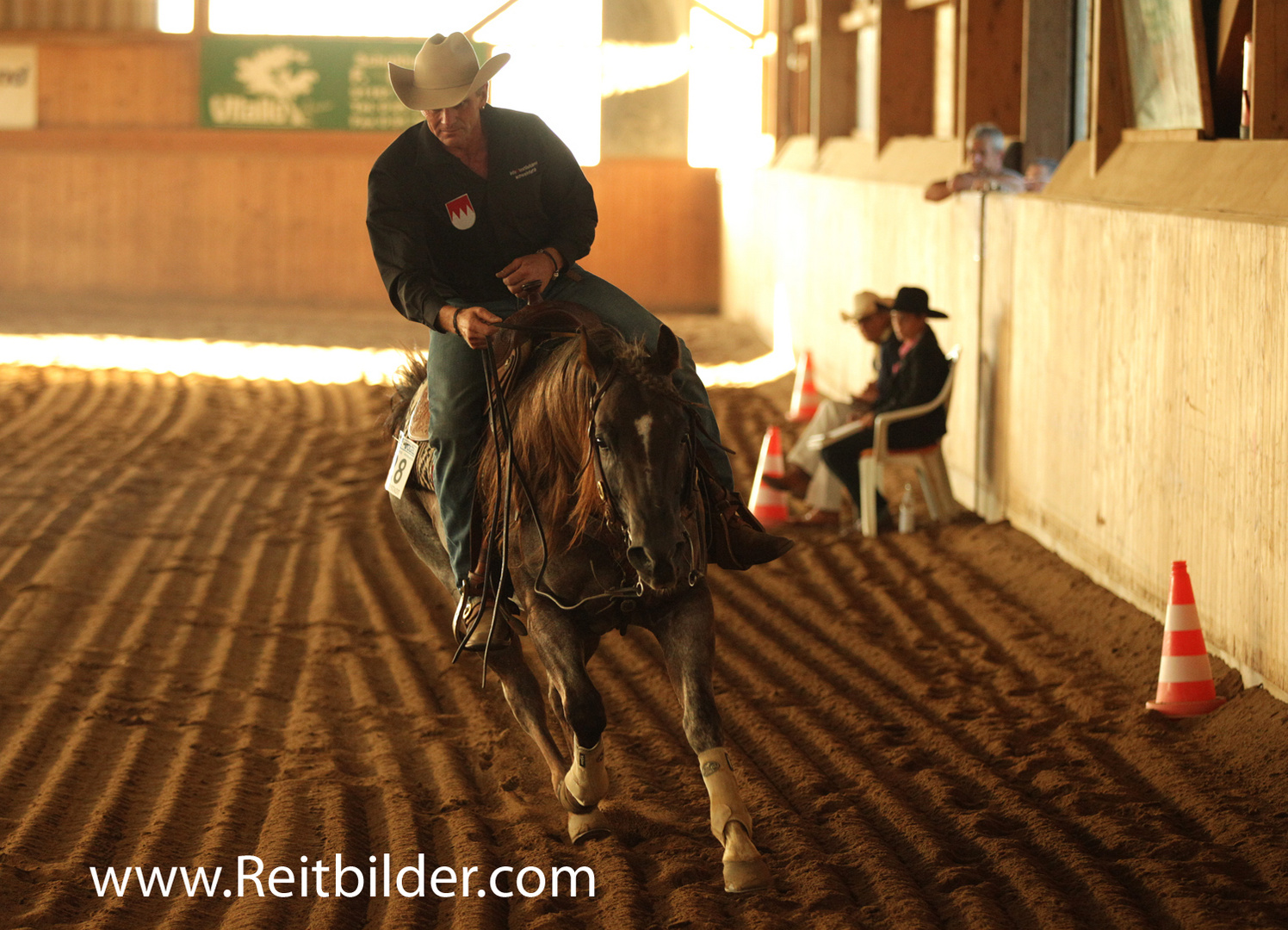 Reining Foto & Bild | sport, sport mit tieren, pferdesport Bilder auf ...