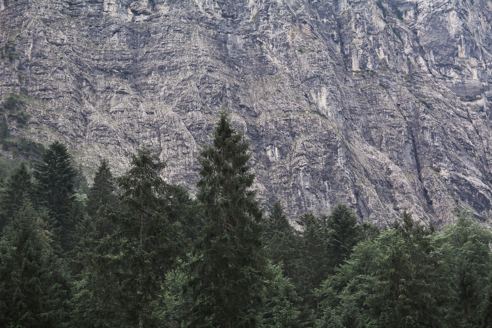 Reintal Foto & Bild | nikon, natur, landschaft Bilder auf fotocommunity