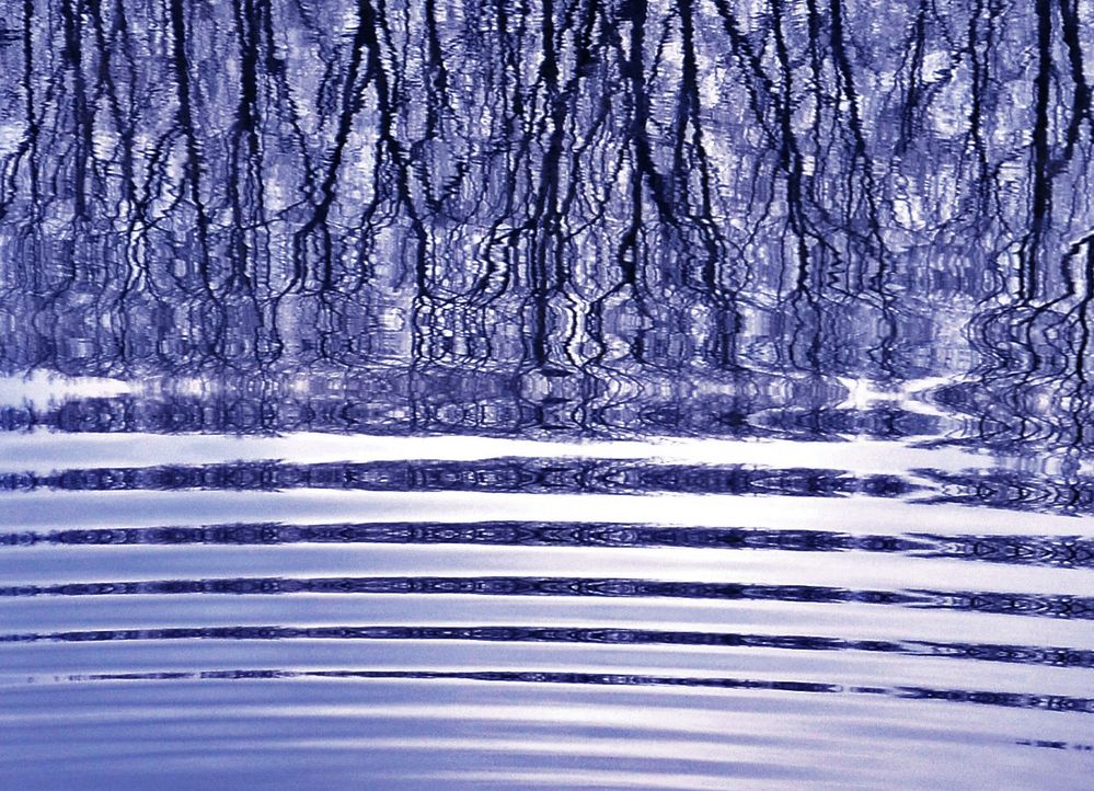 Reischenharter See Foto & Bild | art, spezial, wasser Bilder auf fotocommunity