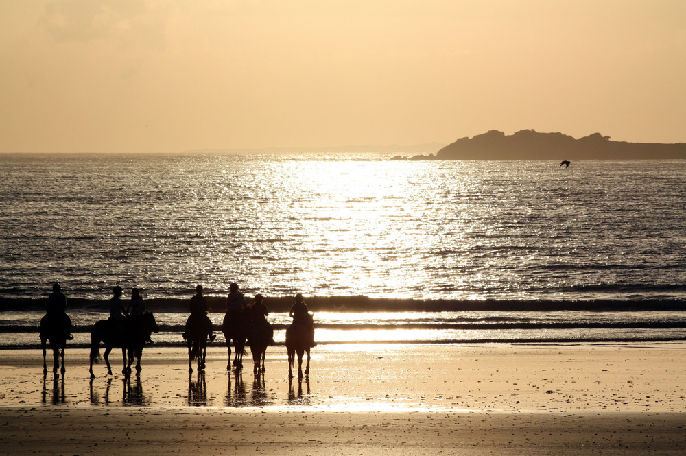 Reiter am Strand Foto & Bild | archiv, fotocommunity kalender , archiv ...