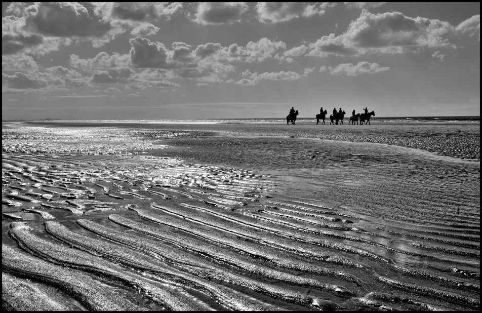 Reiter am Strand Foto & Bild | europe, benelux, belgium Bilder auf ...